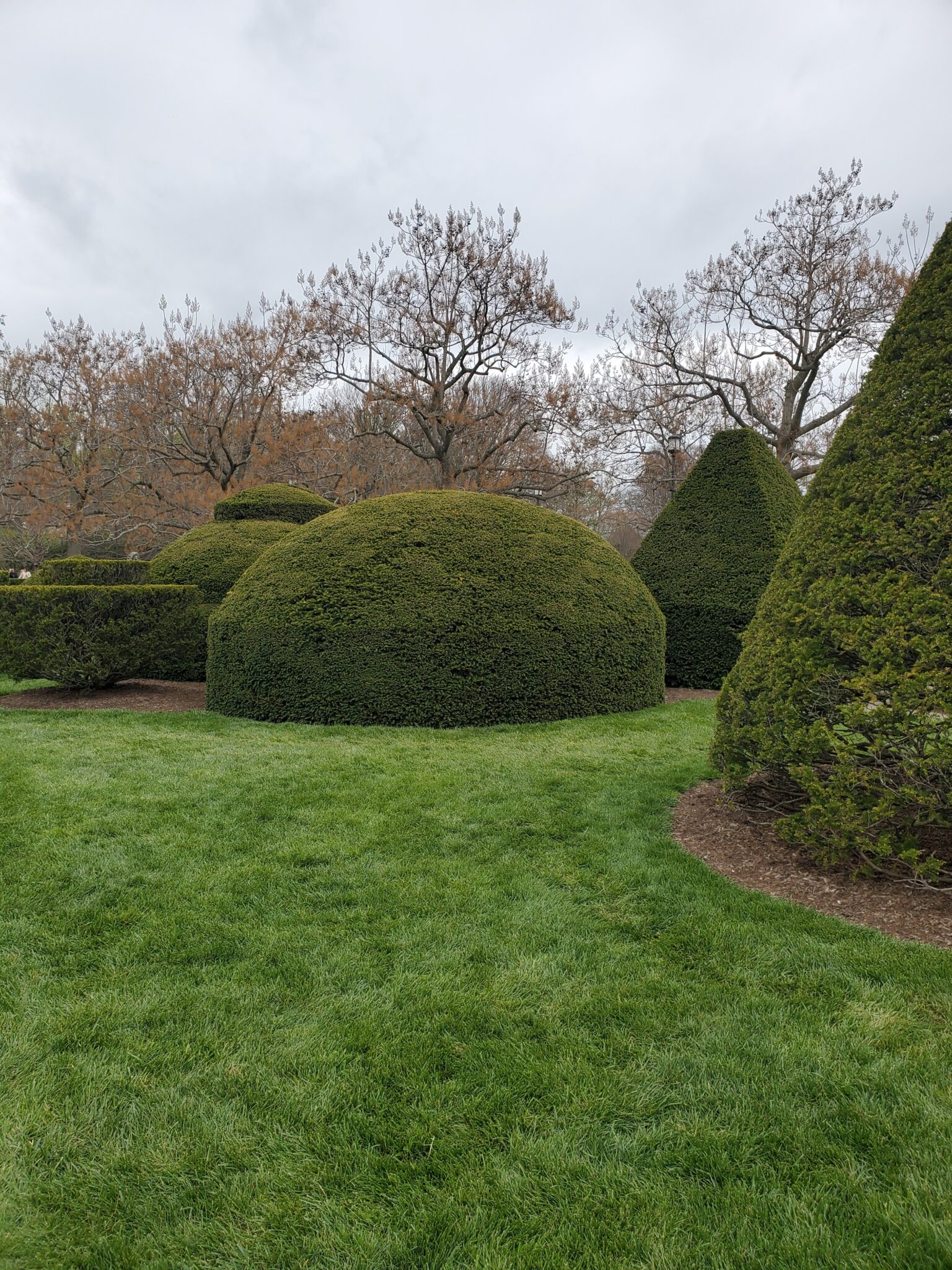 Topiary - Indian Run Landscaping