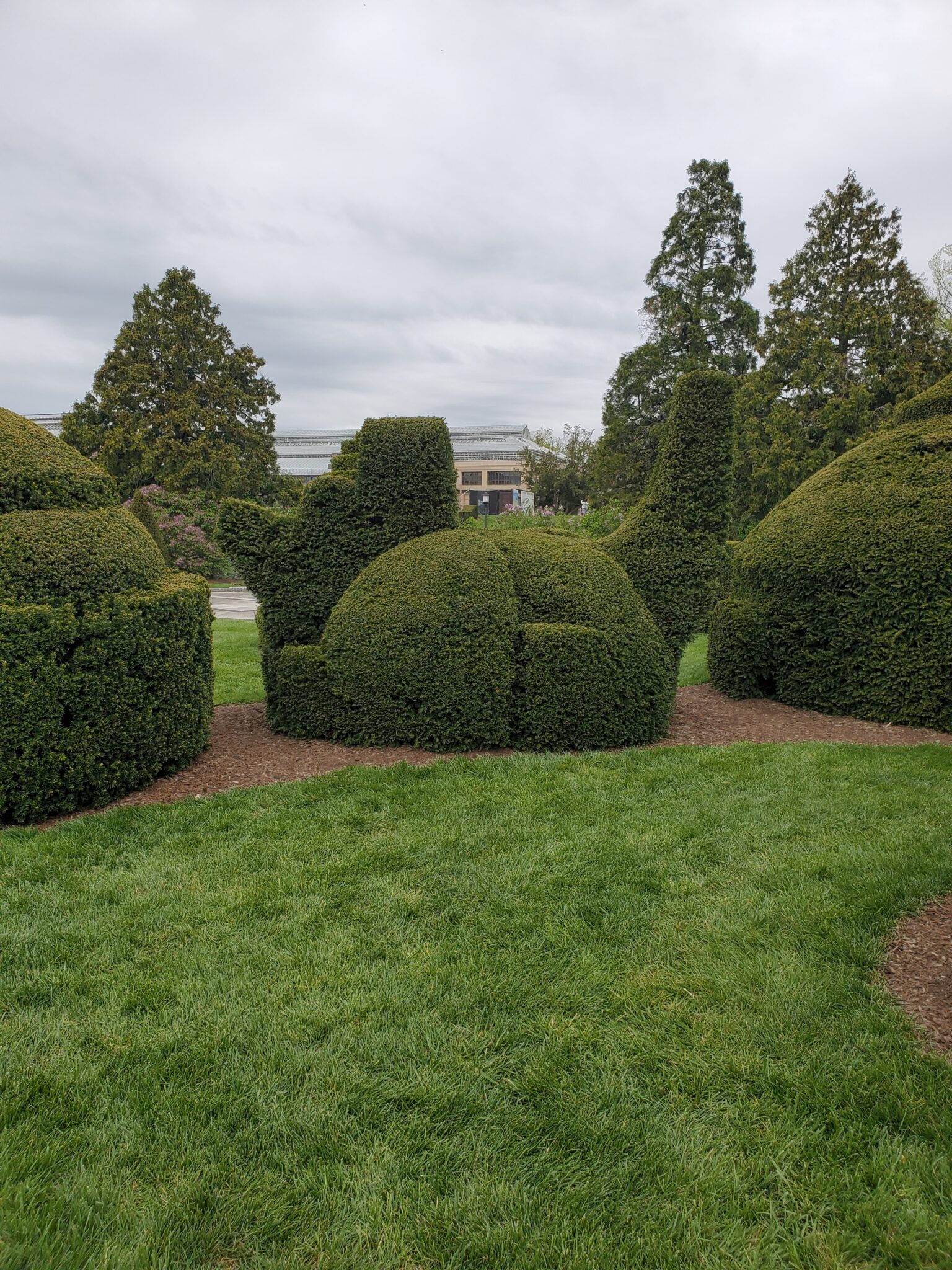 Topiary - Indian Run Landscaping
