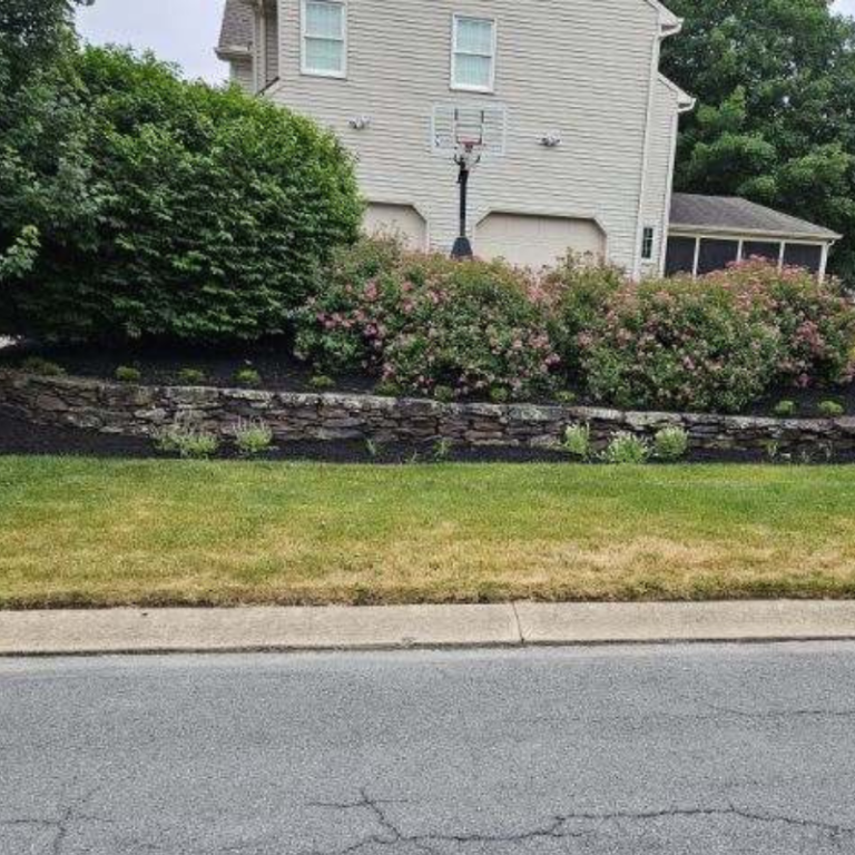 Landscaping Tear Out and Planting Installation - Indian Run Landscaping